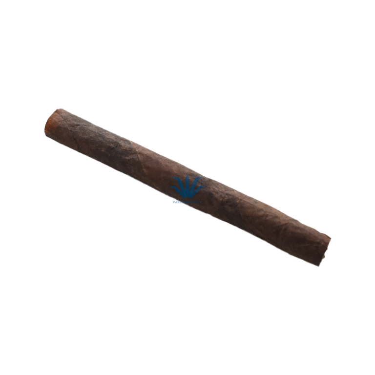 CIGARROS CLUBMASTER MINI BROWN CHOCOLATE x20 - PARAINFERNALIA